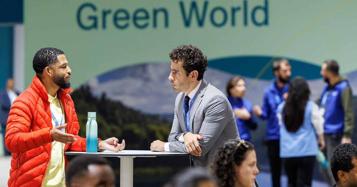 UN-Klimakonferenz: DLR Projektträger berät vor Ort | DLR Projektträger